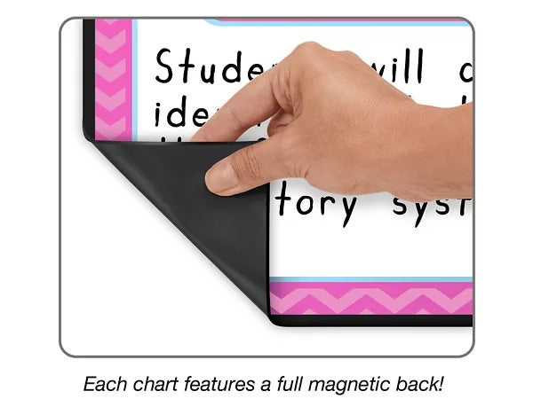 Magnetic Write and Wipe Organization Charts – The Learning World